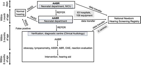 The Algorithm Of The Newborn Hearing Screening And Diagnostic And