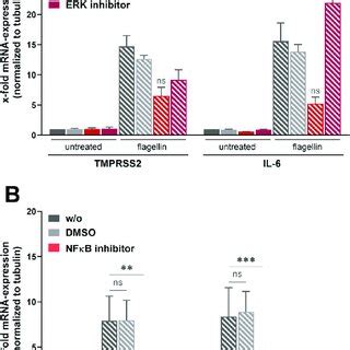 p38 MAPK ERK and NF κB dependent signaling pathways are involved in