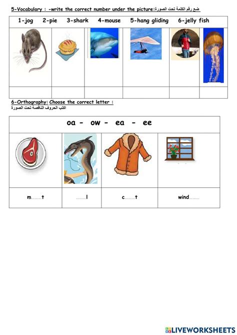 سادس الفصل الاول 1444 Online Exercise For Live Worksheets