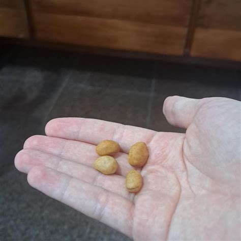 I Am Not Allergic To Peanuts Rnotinteresting