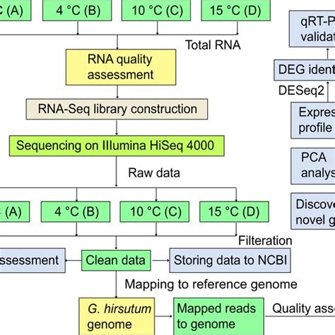 Quality Assessment Metrics For Rna Seq Data A Per Base Sequence