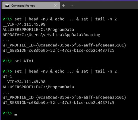 Order Of Environment Variables Different In Wt Issue Microsoft Terminal Github