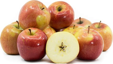 Fuji Apples Information And Facts