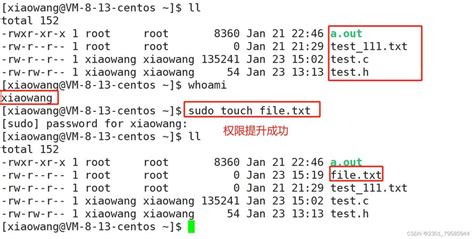 Linux系统中sudo命令的作用与使用指南提升权限与安全保障 Linux命令大全 手册