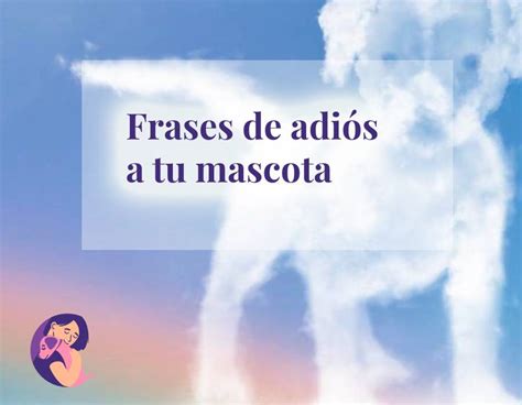 Bonitas Frases De Adios A Mi Mascota Por Siempre Juntos
