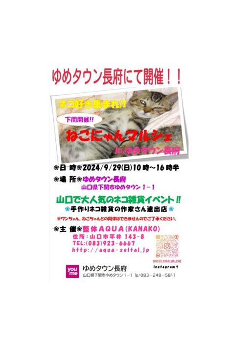 本日『ゆめタウン長府』にて開催！！～ねこにゃんマルシェ～ねこ好き集まれo／ ｜ 山口市平井にある整体「aqua」