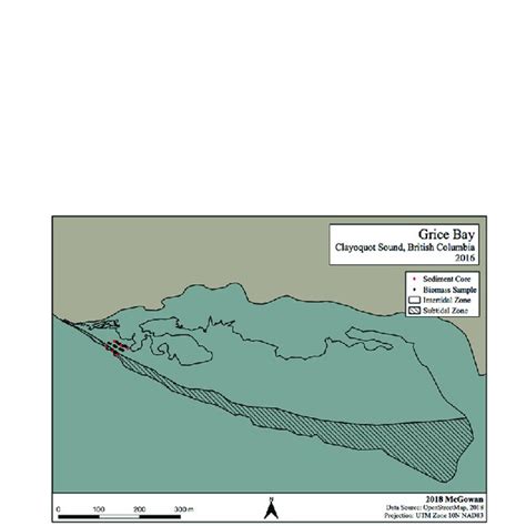 Extent Of Intertidal And Subtidal Zones In Eelgrass Meadows At Robert