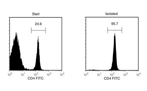 Frequently Asked Questions On Easysep™ Cell Isolation
