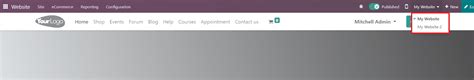 Website Development Multi Website Odoo Development Book