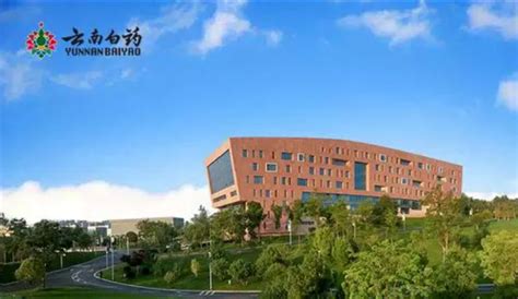 云南白药与唐古信息再度携手，打造智能药事服务平台 杭州唐古信息科技有限公司