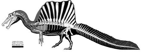 Spinosaurus Skeleton 2022