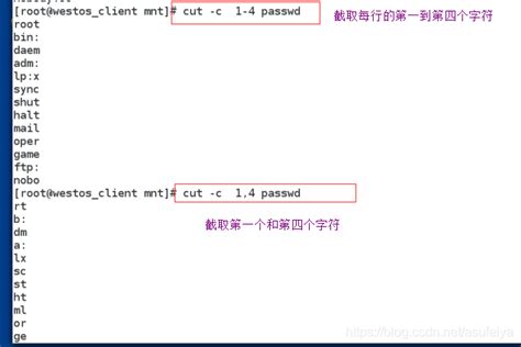 Shell基本命令以及正则表达式sh└┐ ┌┘中合 Csdn博客