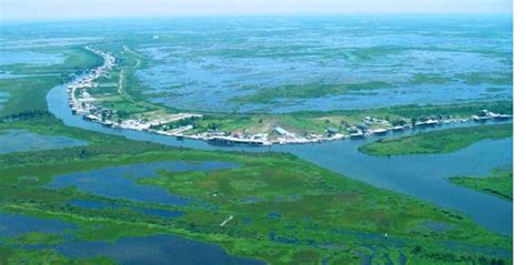 Coastal Habitat Restoration Projects In Louisiana Fish Focus