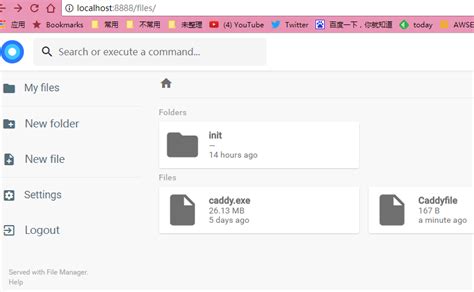 How To Display Other Disk File · Issue 197 · Filebrowserfilebrowser · Github