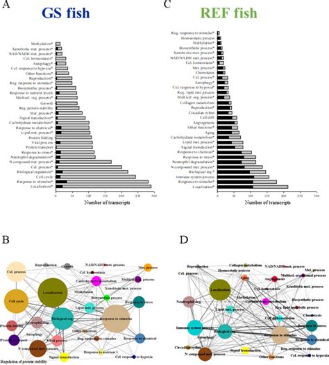 Bar Plot Depicting The Results Of An Over Representation Test Performed Download Scientific