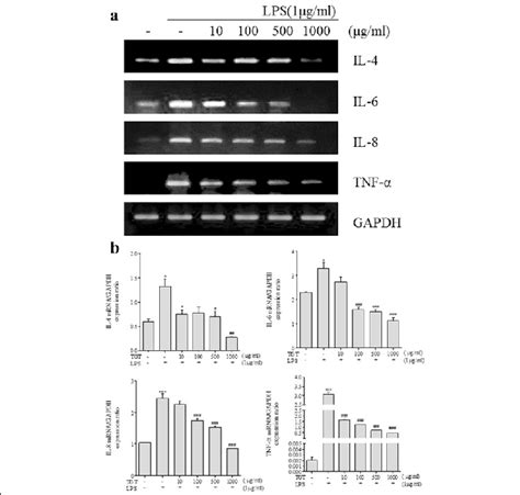 Effect Of Tgt On Expression Of Pro Inflammatory Cytokines In Lps