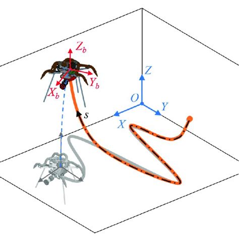 Coordinate Systems Definition Download Scientific Diagram