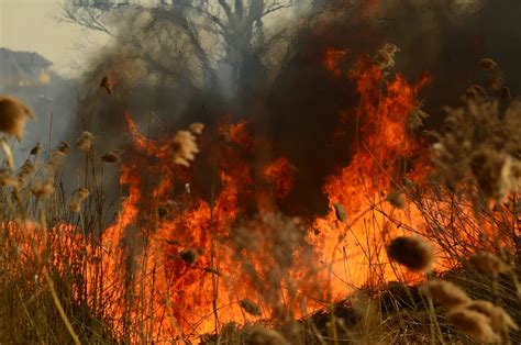 Asciende A 110 El Número De Fallecidos Por Los Incendios De Hawái