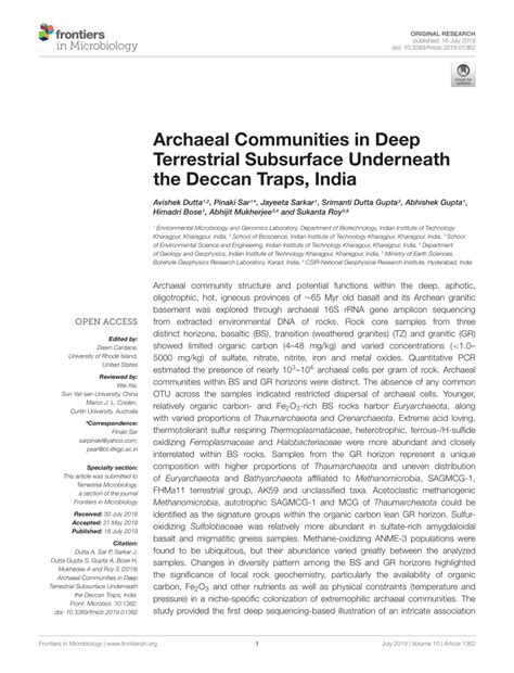 Pdf Archaeal Communities In Deep Terrestrial Subsurface Underneath