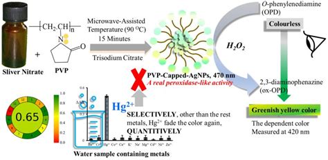 Chemosensors Mdpi On Linkedin Article Recommendation Silver Nanoparticles Agnps Mercury