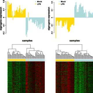 Sample Hierarchical Clustering The Samples Clustered Based On Their