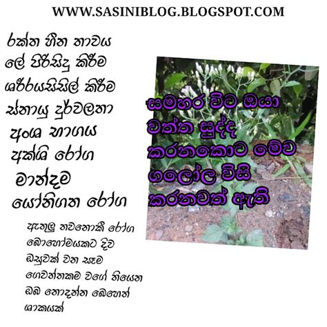 දේශීය බෙහෙත් වර්ග