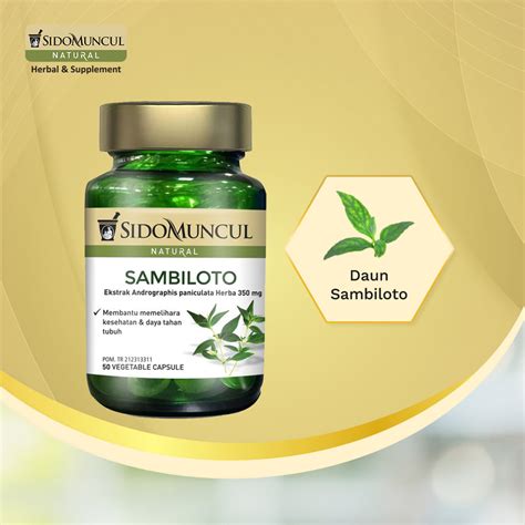 Sambiloto Sido Muncul Natural