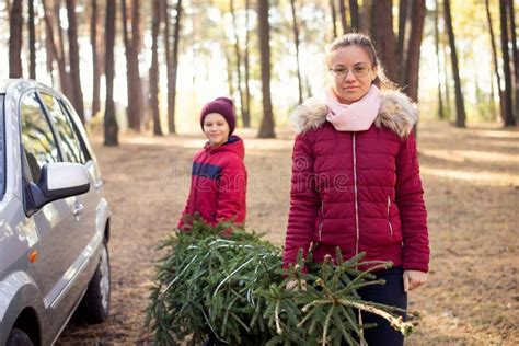 Brother And Sister In The Forest Stealing Fir Tree Stock Image Image