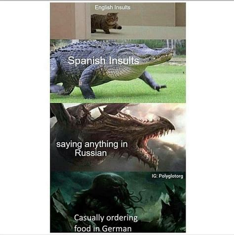 Pinterest Imágenes Humorísticas Imágenes Graciosas Imágenes Hilarantes