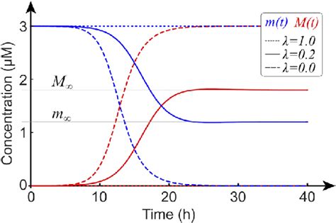 Typical Dynamics Of The Monomer Blue And Aggregate Red