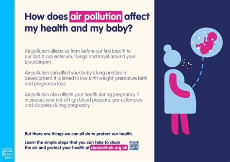 Air Pollution Flyer Air Pollution Rebel Toolkit