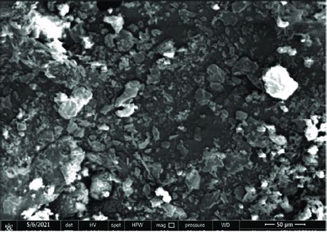 Sem Image Of Optimized Formulation Download Scientific Diagram
