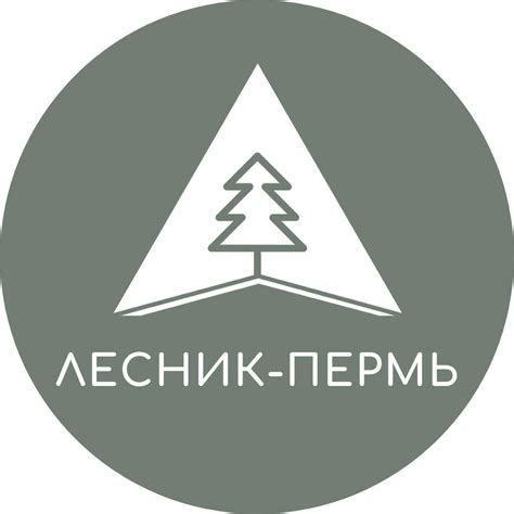 Крупномеры хвойных деревьев с доставкой по РФ оптом и в розницу от