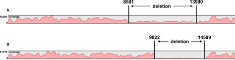 Mapping And Coverage Results For Sequencing The Mtdna In Two Pediatric