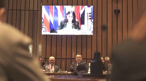 Foro De Los Países De América Latina Y El Caribe Sobre El Desarrollo