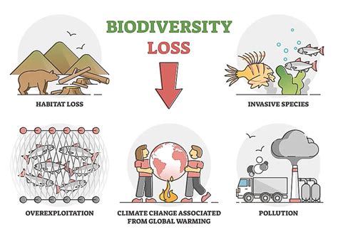 Why Is Biodiversity Critical To Life On Earth Worldatlas