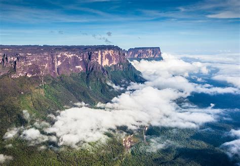 Bird Mount Roraima The Trek Of The Tepuis Ascent Of Mount Roraima