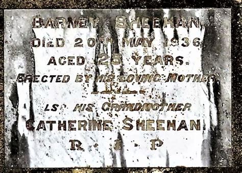Catherine Ryan Sheehan 1823 1911 Find A Grave Memorial