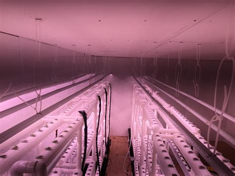 Finished Planting 1080 Basil Plants R Hydroponics