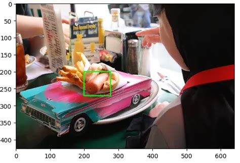 Coco Dataset Resolution Insights And Applications