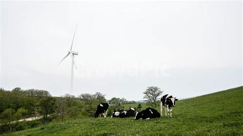 풍력 친환경 전기 전력 발전 사진이미지일러스트캘리그라피 술꼬장작가