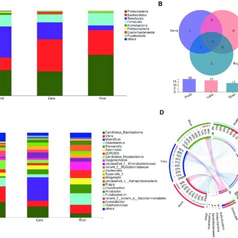 Alpha And Beta Diversity Analyses Of The Gut Microbiota In The Three