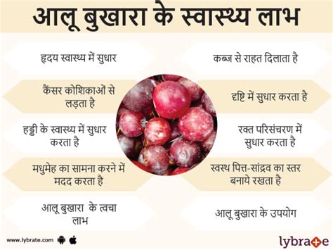 Aloo Bukhara In English Albukar Fruit Benefits Facts 60 Off