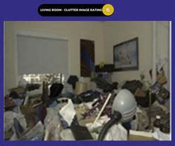 CLUTTER IMAGE RATING SCALE Carlton Thomas