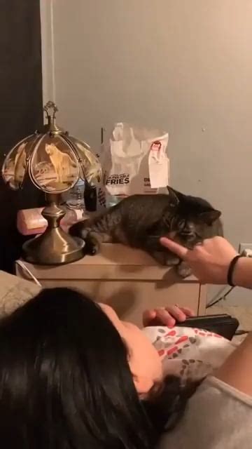 Conductive Wunk Rwunkus