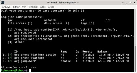 Suporte Ao Empacotamento Flatpak No Debian Bullseye