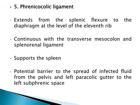 Imaging Anatomy Of Peritoneum Ppt