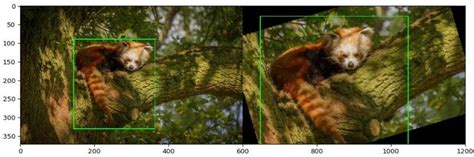 Learn To Augment Images And Multiple Bounding Boxes For Deep Learning