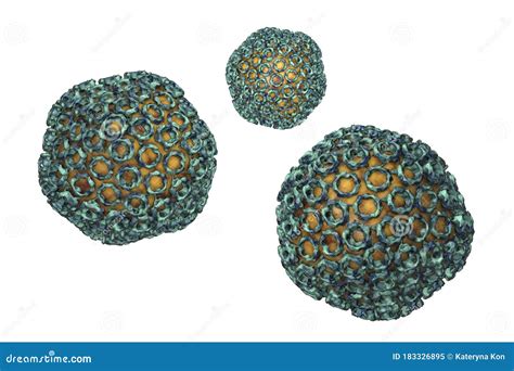 Valley Fever Coccidioidomycosis Symptoms Of Disease Icon Vector