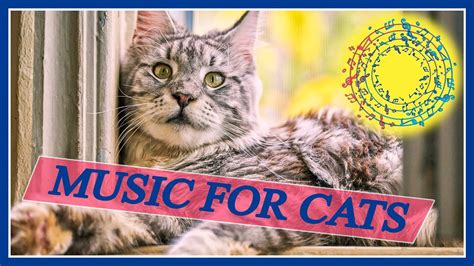 Music For Cats Soothing Lullaby Сalm Piano Youtube